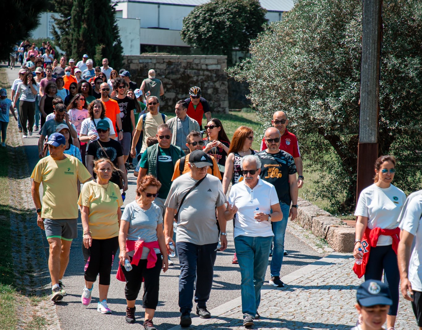 Continental in Portugal - Continental Corporation Portugal