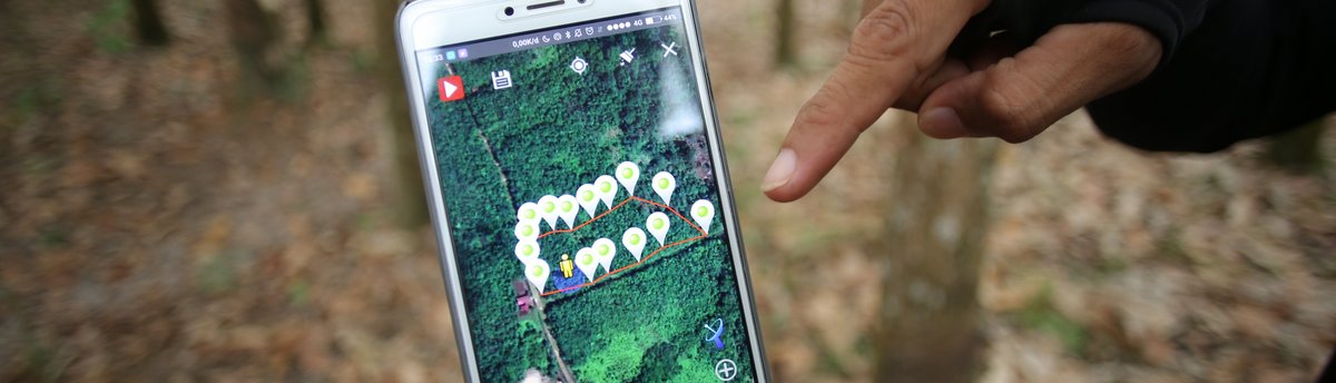 Continental Extends Commitment to Sustainability in Natural Rubber ...